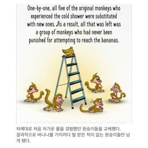 군대의 원리 원숭이 실험 Mlbpark