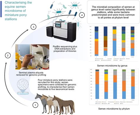 CSIRO PUBLISHING Reproduction Fertility And Development