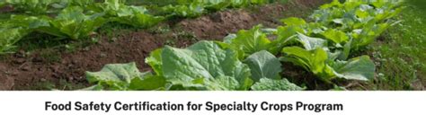 Usda Food Safety Certification For Specialty Crops Program Vegetable Growers News