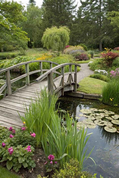 14 Inspiring Bog Garden Ideas For Lush Landscapes
