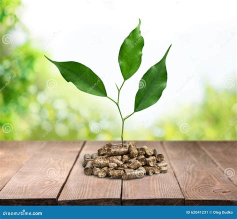 Biomass Pellets Stock Image Image Of Agriculture Environmental 62041231
