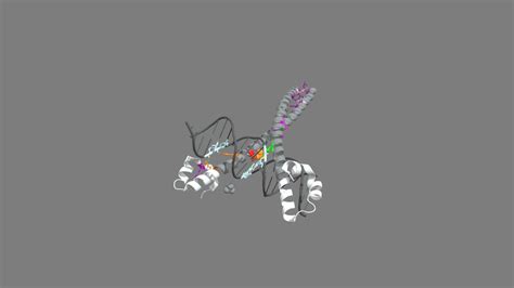 Mafa Dna Complex Structure 3d Model By Strg0993 [03c861e] Sketchfab