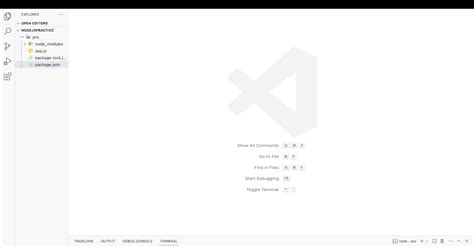Sfdcops How To Create And Run Nodejs Project In Vs Code Editor