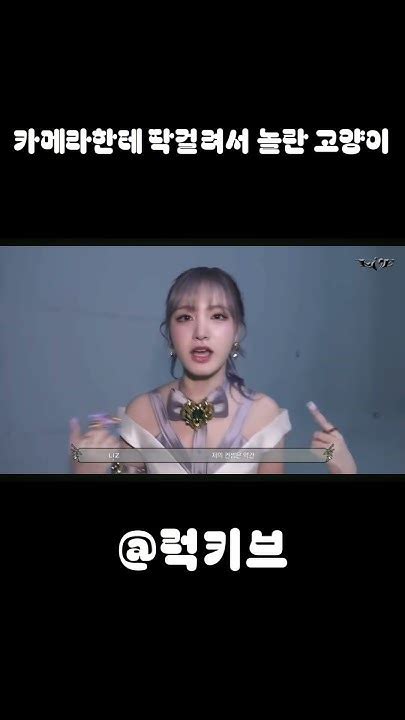 카메라한테 딱걸려서 놀란 고양이 리즈 아이브 아센디오 Youtube