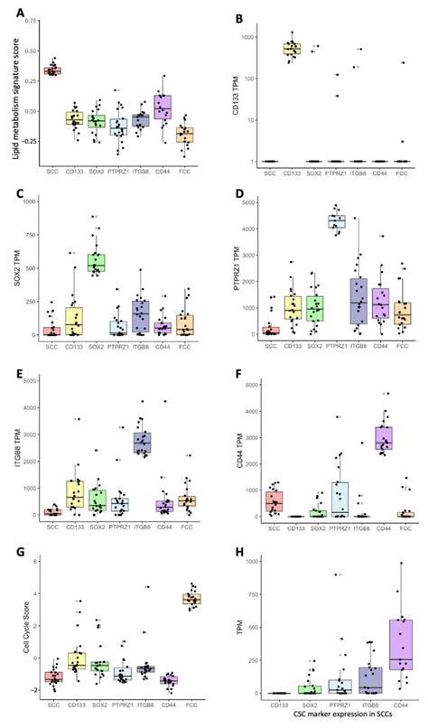 Gene Signature Scores And Gene Expression Levels Derived From Scrnaseq
