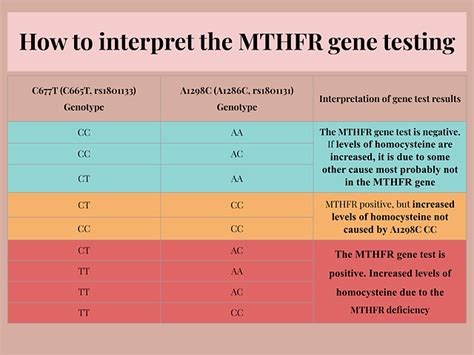 Mthfr Mutation What Is It How To Check Your Raw 48 Off