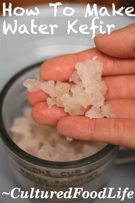 Water Kefir Grains Troubleshooting Faq Artofit