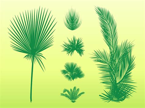 Palm Leaf Vector