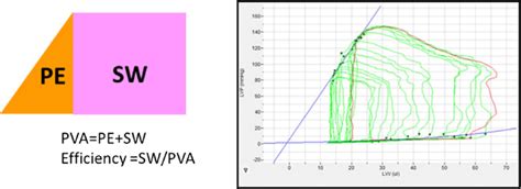 Representative PV Loop After TAC Download Scientific Diagram