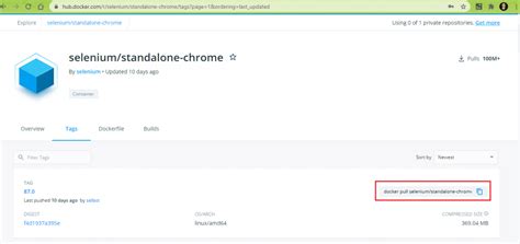 Wait What Gui Testing Inside Docker Container