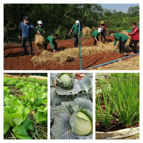 ฝ่ายพัฒนาด้านเกษตรกรรมเอี่ยมเฮง