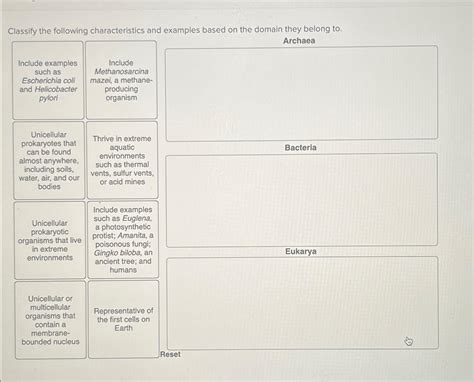 Solved Classify The Following Characteristics And Examples Chegg