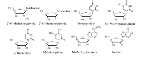 The Structures Of Modified Nucleosides Download Scientific Diagram