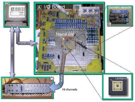 Figure 1 From Emergent Asynchronous Irregular Firing In A