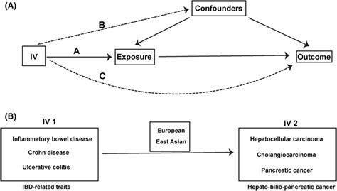 The Basic Principles Of Mendelian Randomization Mr Study A