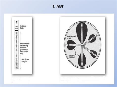 Ppt Antibiotic Susceptibility Testing Powerpoint Presentation Free Download Id 6357921