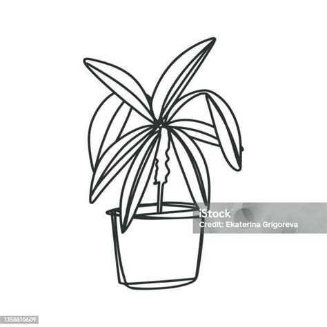 스케치 라인 아트 스타일의 하우스 플랜트 한 줄 화분 식물 아이콘 스티커 라벨 격리된 배경에서 손으로 그린 그림 벡터입니다 0명에 대한 스톡 벡터 아트 및 기타 이미지
