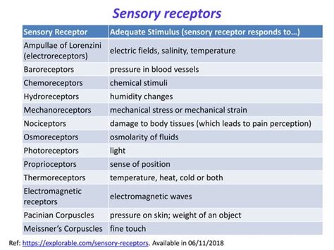 Sensory And Motor Pathways Diagram The Ascending Tracts