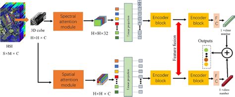 用于高光谱图像分类的双分支特征融合变换器scientific Reports X Mol