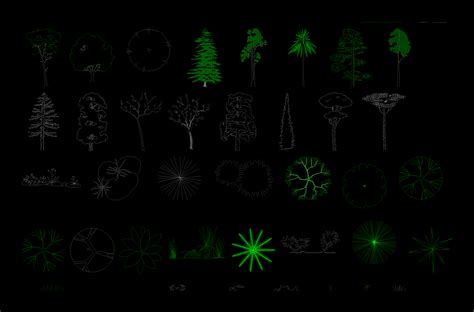 Blocks Trees DWG Plan For AutoCAD Designs CAD Blocks Trees DWG Plan For AutoCAD Designs CAD