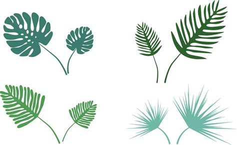 Palm Leaves Vector 25454191 Vector Art At Vecteezy