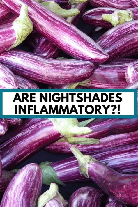 Nightshade Vegetables List Nutrition To Fit