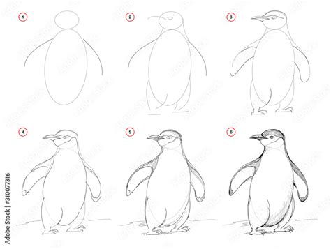 How To Draw From Nature Sketch Of Cute Penguin Creation Step By Step Pencil Drawing
