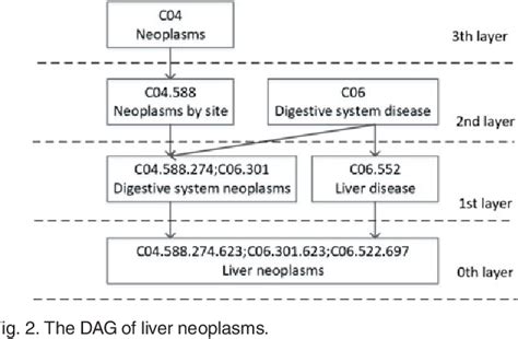 Figure 2 From Higher Order Proximity Based Mirna Disease Associations Prediction Semantic Scholar