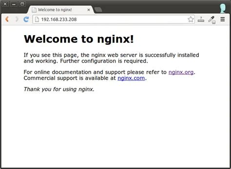 ¿qué Es Nginx Culturación