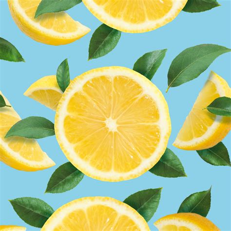 Tassal Animation Apr Creative