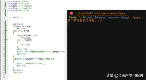 Linux Pid T 头文件第六十章、linux下进程等待函数wait与waitpid详解 Csdn博客