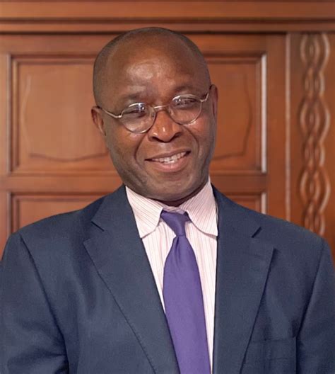 Emmanuel Nneji Wins Democratic Nomination For Ulster County Da Daily