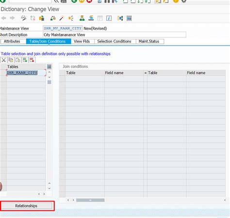 Creating A Sap Abap Maintenance View Kaan Can Calkan