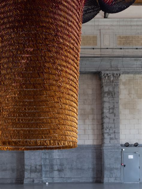 Tender Vortex Revista Plot