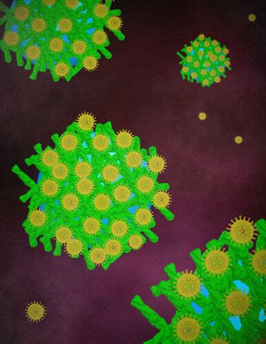 New Method Developed To Isolate Hiv Particles Newsmyscience News