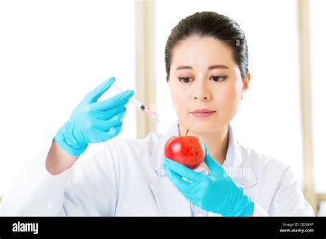 Plant Biology Research For Genetic Modification Food Gmo In Laboratory