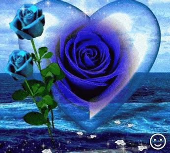 Animated Blue Roses