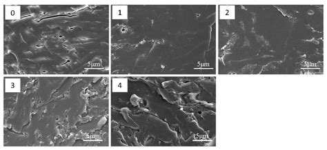 Polymers Free Full Text Development Of A High Performance Adhesive With A Microphase
