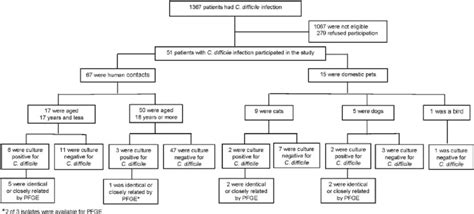 Flow Chart Of Index Cases And Their Household Contacts Download Scientific Diagram