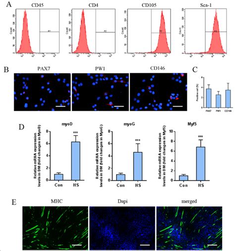 A Flow Cytometry Of The Cellular Surface Markers Of Cd45 Cd4 Cd105
