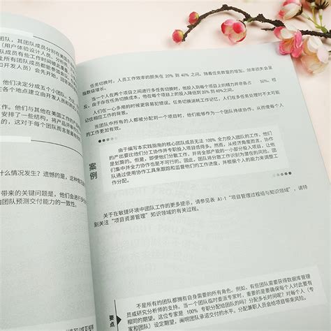 敏捷实践指南项目管理知识人人都是项目经理项目管理入门书籍产品经理书籍管理书籍敏捷开发项目实践指南项目策划书运作管理 虎窝淘