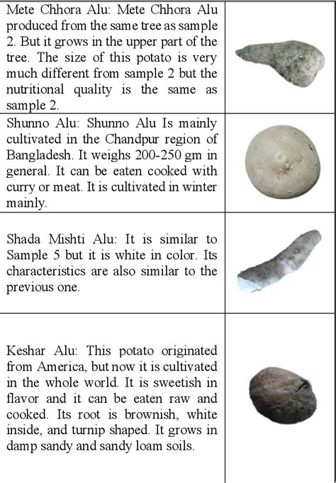 Table 2 From Bangladeshi Local Potatoes Dataset And Classification Using Deep Learning