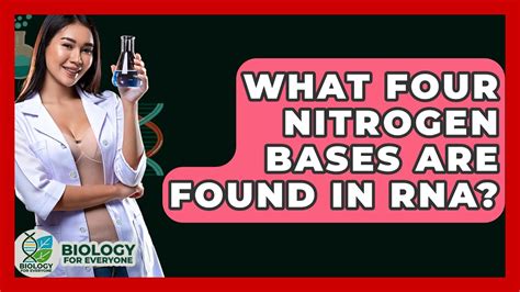 The 4 Rna Bases Explained Your Simple Guide To A U C G Transtutor Blog