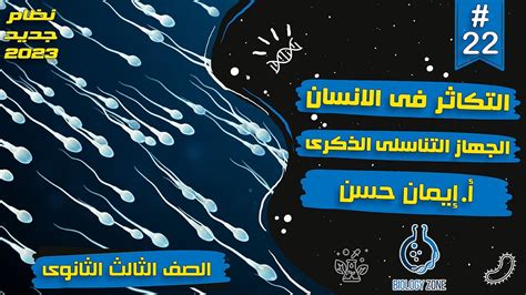 22 شرح درس التكاثر فى الانسان شرح الجهاز التناسلي الذكري احياء