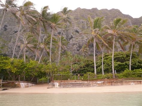 Magnum P I Robins Nest