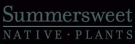 Cropped Summersweetgreencmyk 3