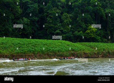 Embera Ethnic Group Community Chagres River Chagres National Park Colon Province Panama