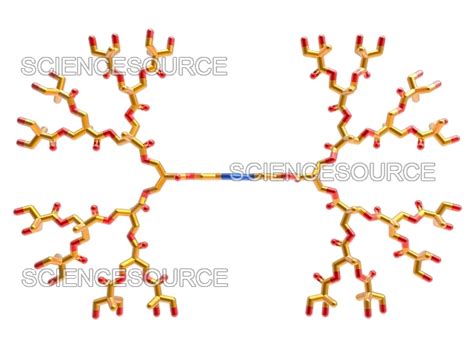 Dendrimer Molecular Structure Stock Image Science Source Images