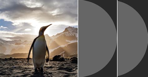 List Shell Script Curated By வெங்கடேஷ் ராஜா Medium