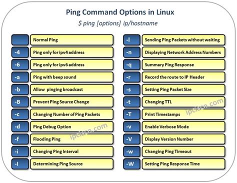Ping Command In Linux Ping Command Options ⋆ Ipcisco